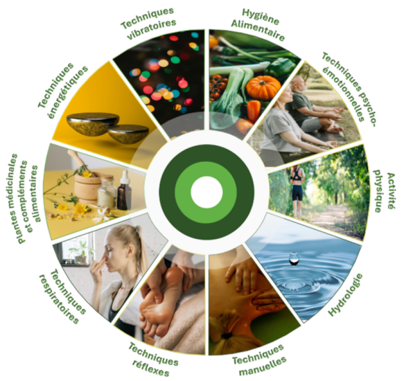 Les 10 techniques naturopathiques | OMNES - Toute l'excellence d'un ...